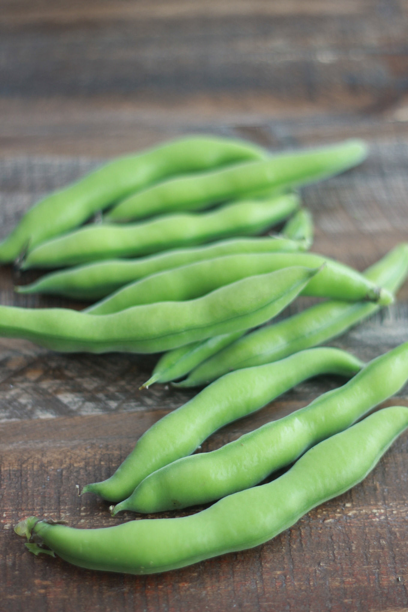 Fèves fraîches - Cuisine Culinaire